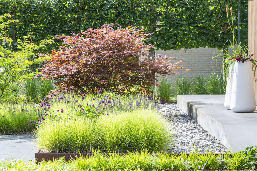 Bekroonde realisatie van Tuinen Paul Nijst - Chic Gardens