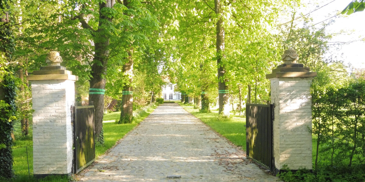 Open Tuinen: Bezoek de mooiste tuinen van Vlaanderen op 28 & 29 juni ...